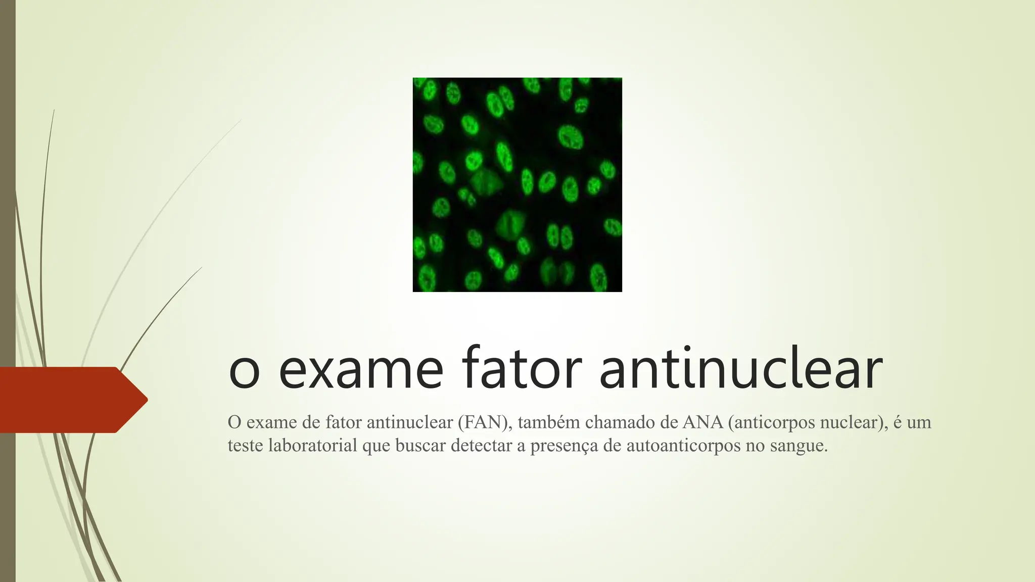 Imunofluorescência indireta em imunologia.pptx