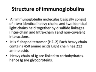 imunoglobulin.pptx