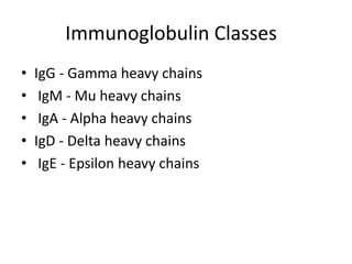 imunoglobulin.pptx