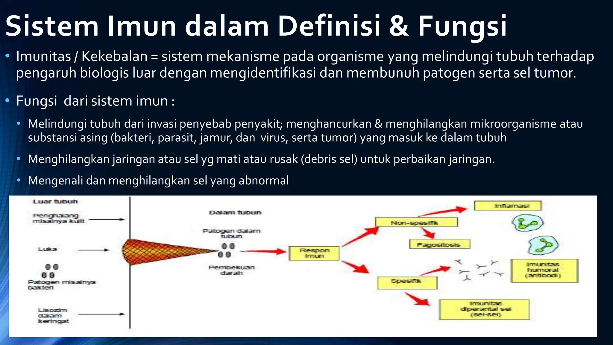 materi tentang sistem imun tubuh manusia | PDF