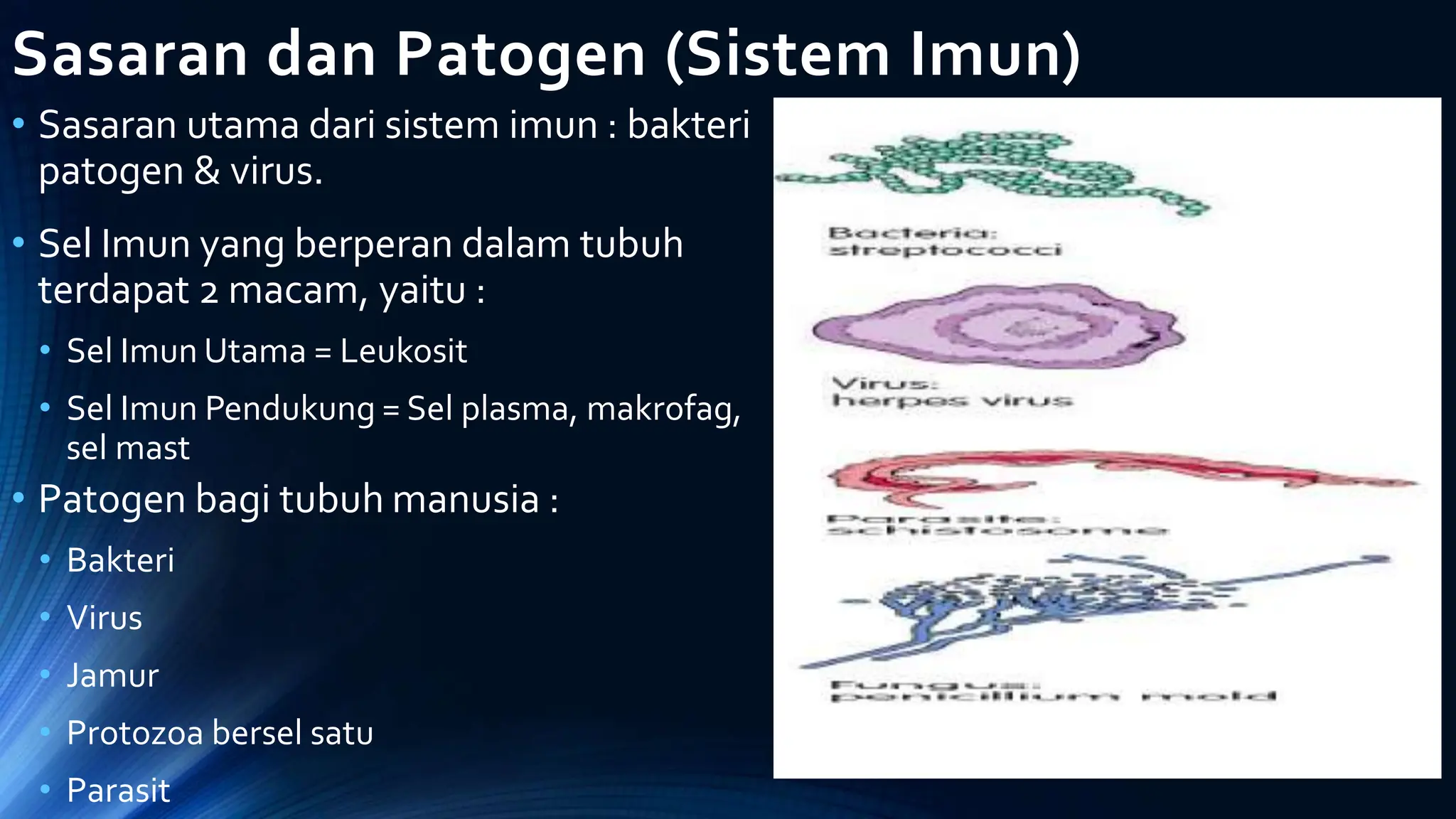 materi tentang sistem imun tubuh manusia | PDF