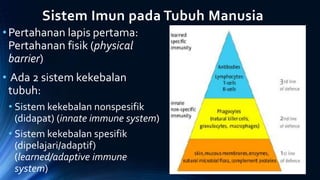 materi tentang sistem imun tubuh manusia | PDF