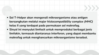 Imunologi. Respon imunnitas pada manusia | PDF