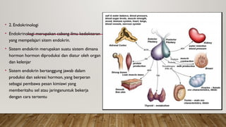 Imunologi dan Endokrinologi dalam proses reproduksi manusia dan tumbuh ...