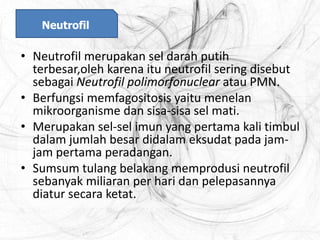 Imunologi darah | PPTX
