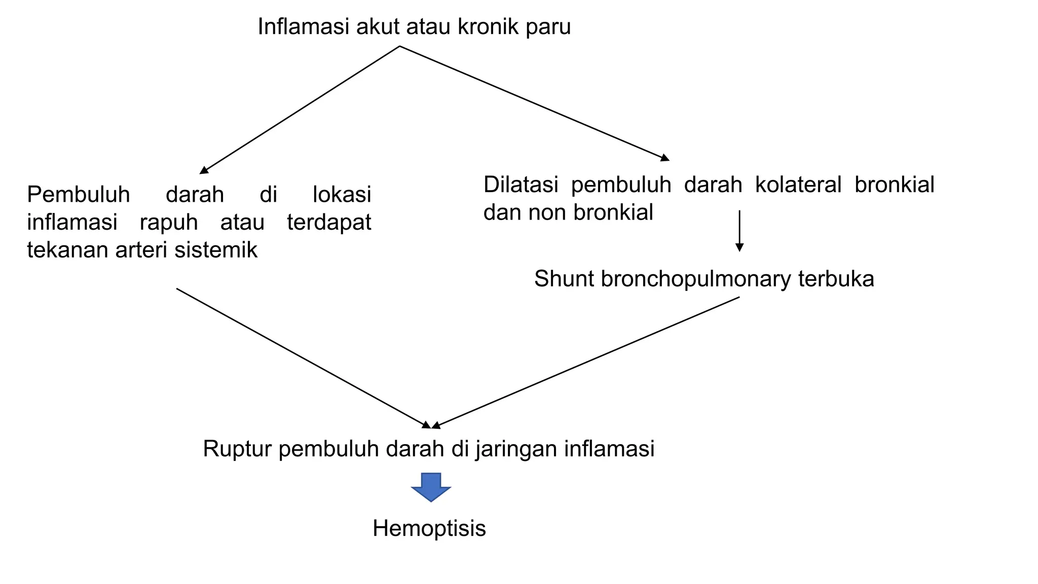 Imunologi of Hemoptisis imunopatogenesis.pptx