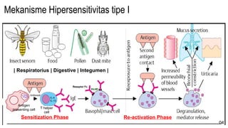 Imunologi Klinik Hipersensitivitas Tipe 1.pptx