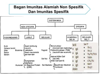 pengenalan imunologi | PPTX