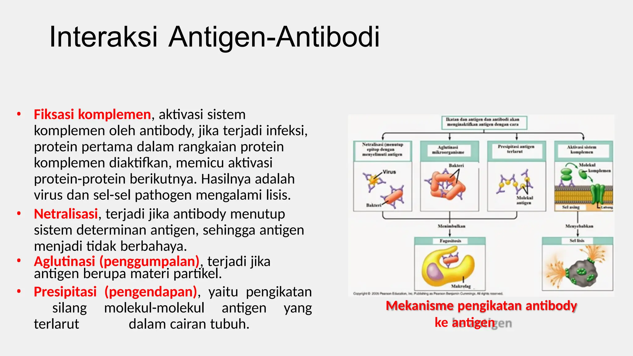 Imunologi _ Sistem Imuno_6.pptx mmmmmmmmmmmmm | PPTX