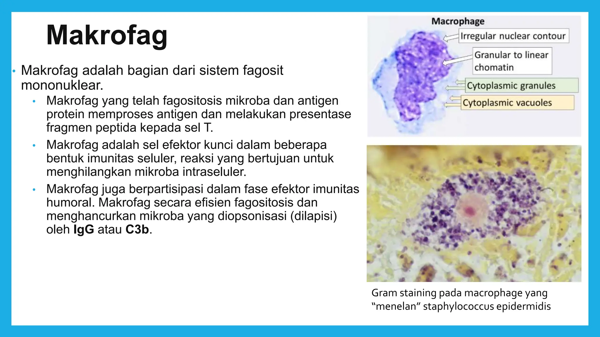desa imunology dan imunitas pada trauma.pptx