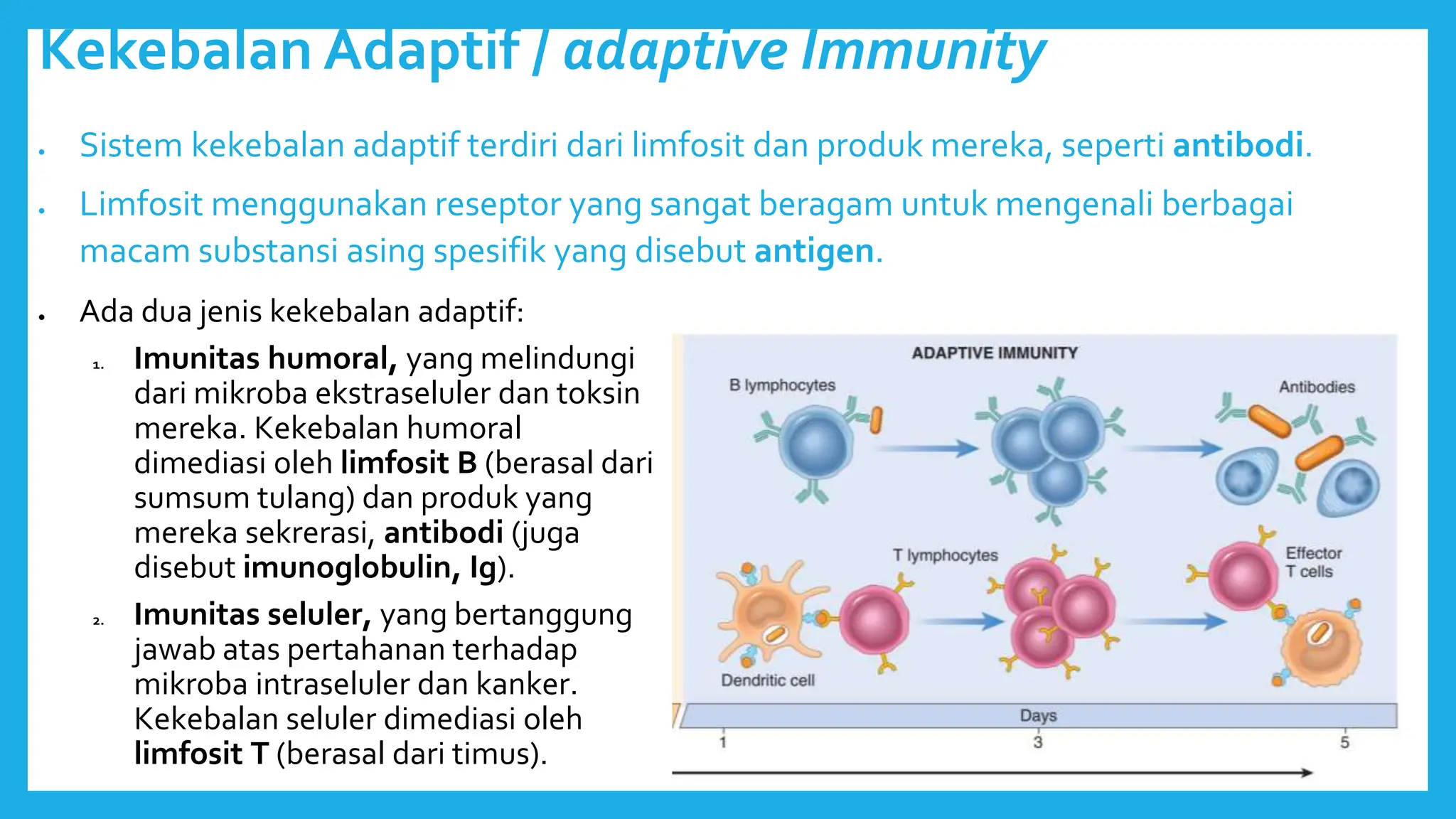 desa imunology dan imunitas pada trauma.pptx
