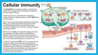 desa imunology dan imunitas pada trauma.pptx