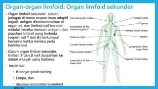 desa imunology dan imunitas pada trauma.pptx