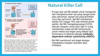 desa imunology dan imunitas pada trauma.pptx