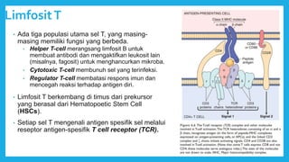 desa imunology dan imunitas pada trauma.pptx