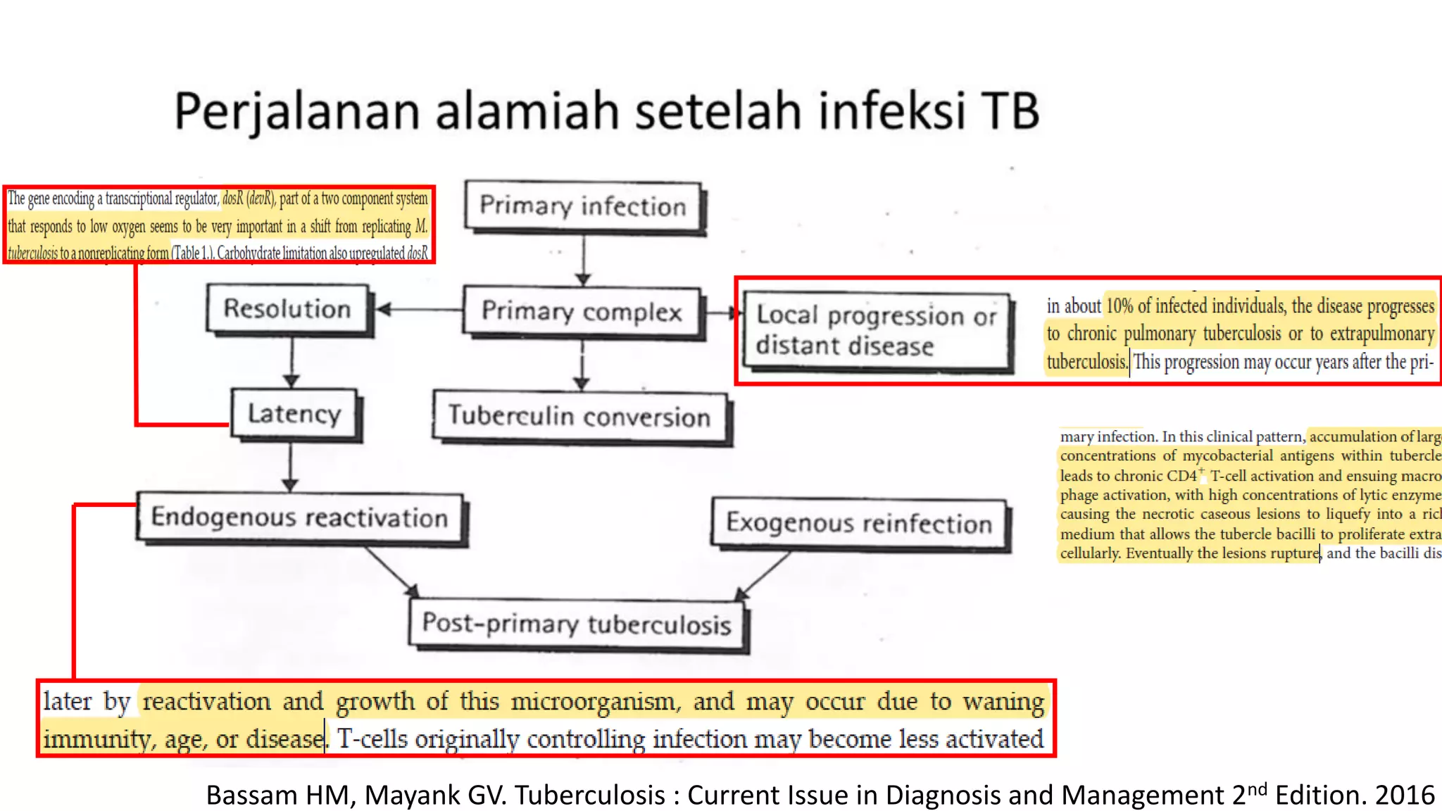 Imunopatogenesis TB dr. Adianto Dwi PZ | PDF