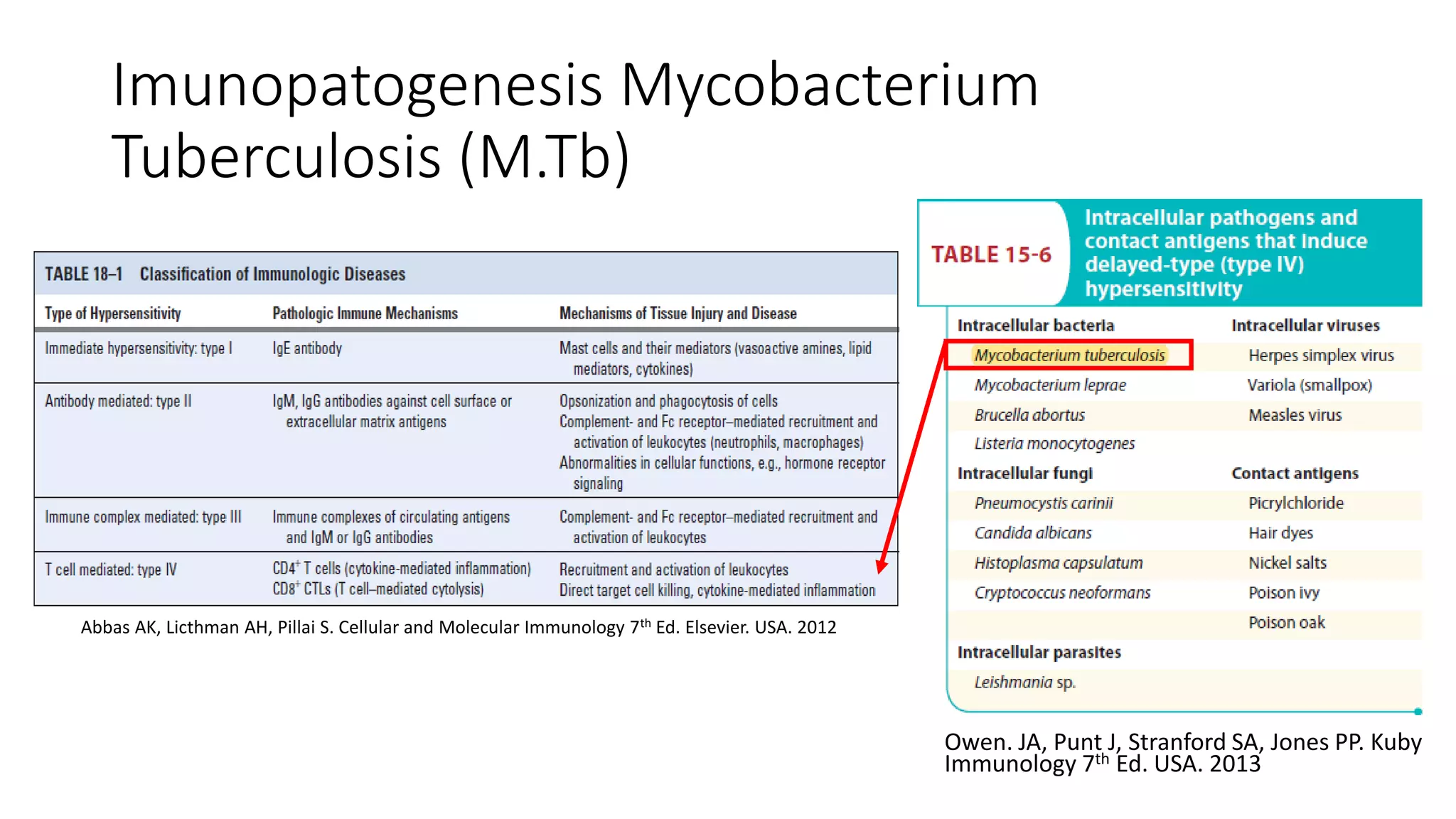 Imunopatogenesis TB dr. Adianto Dwi PZ | PDF