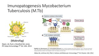 Imunopatogenesis TB dr. Adianto Dwi PZ | PPT