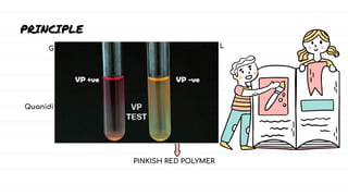 IMViC Biochemical Tests Principle|Indole|Methyl Red|Voges Proskauer ...