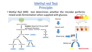 IMViC biochemical tests | PPTX