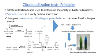 IMViC biochemical tests | PPTX