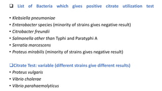 IMViC biochemical tests | PPTX