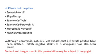 IMViC biochemical tests | PPTX