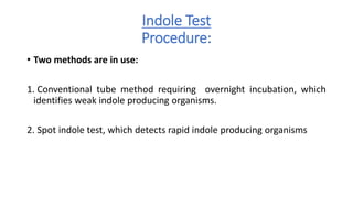 IMViC biochemical tests | PPTX