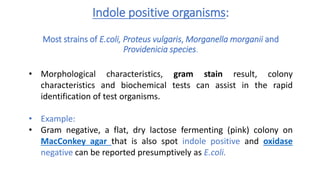 IMViC biochemical tests | PPTX