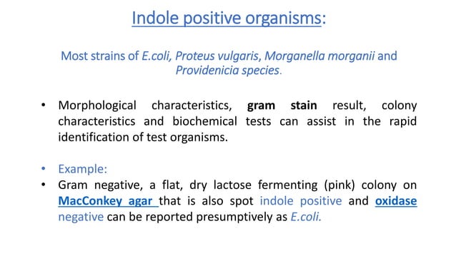 IMViC biochemical tests | PPTX