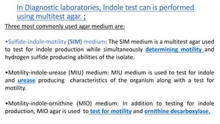 IMViC biochemical tests | PPTX