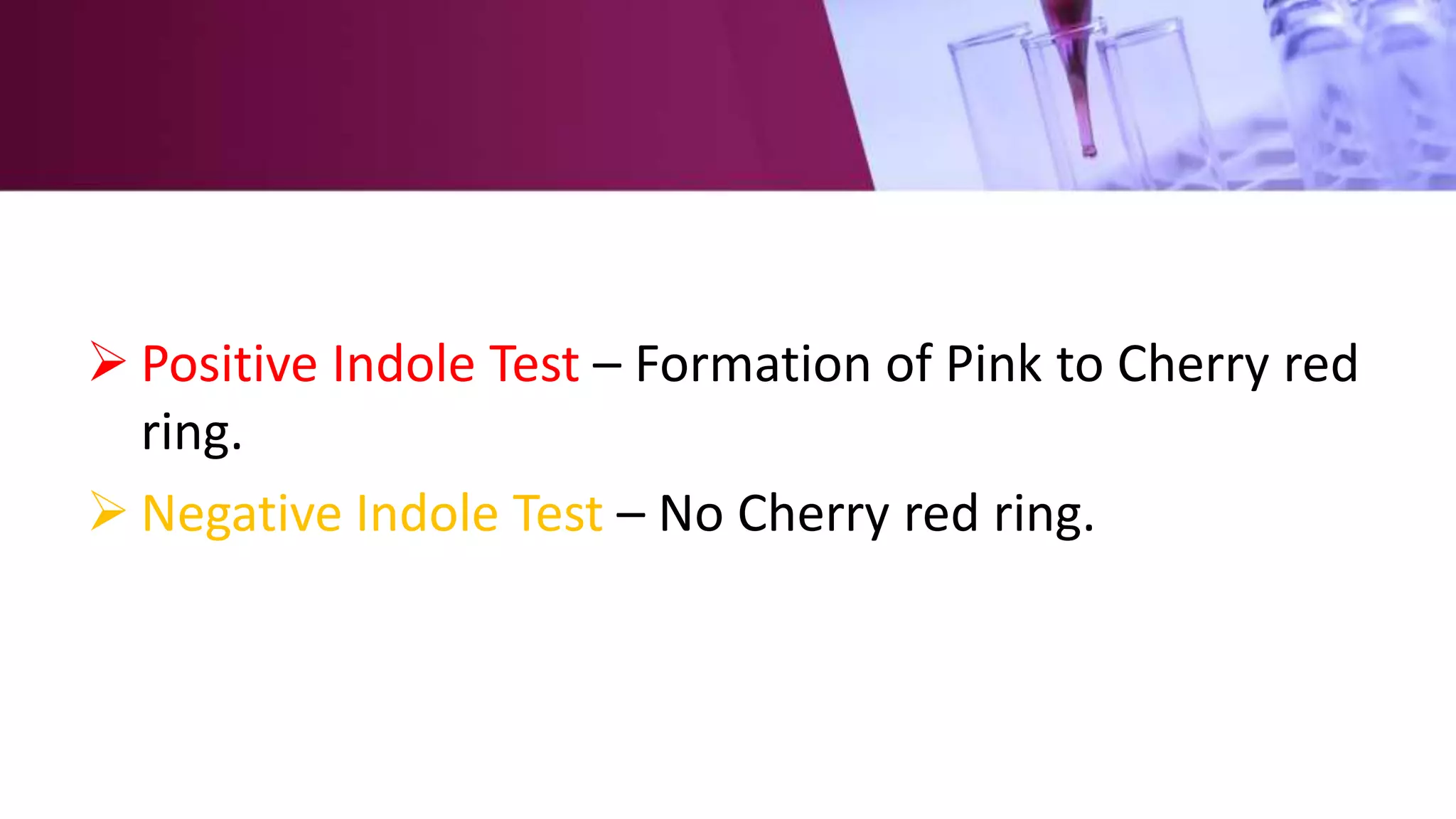 IMVIC lecture video ppt.pptx