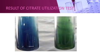 IMVIC lecture video ppt.pptx