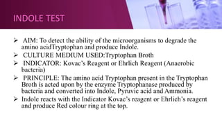 IMVIC lecture video ppt.pptx