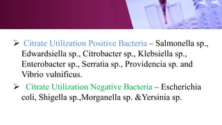 IMVIC lecture video ppt.pptx