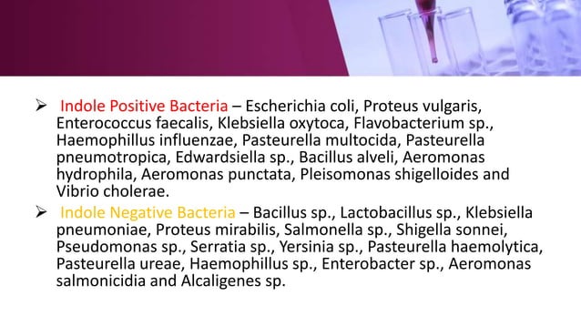 IMVIC lecture video ppt.pptx