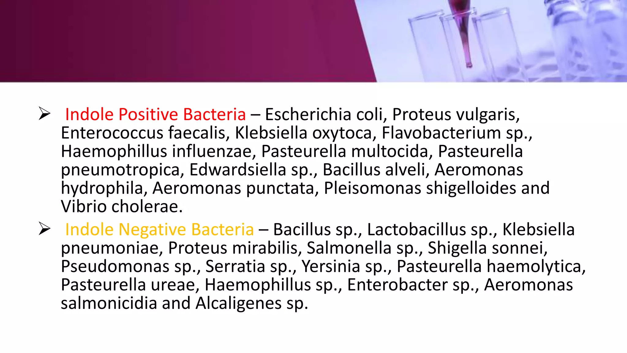 IMVIC lecture video ppt.pptx