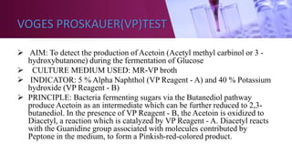 IMVIC lecture video ppt.pptx