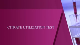 IMVIC lecture video ppt.pptx