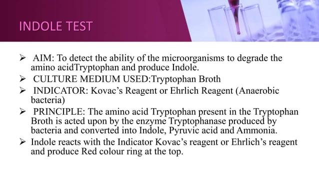 IMVIC lecture video ppt.pptx