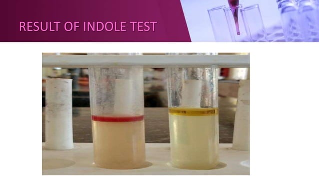 IMVIC lecture video ppt.pptx