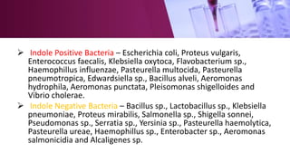 IMVIC lecture video ppt.pptx