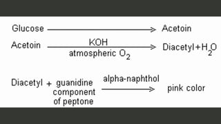 IMViC (Indole Methyl red Voges prascuer Citrate) Test | PDF