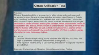 IMViC (Indole Methyl red Voges prascuer Citrate) Test | PDF
