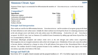 IMViC (Indole Methyl red Voges prascuer Citrate) Test | PDF