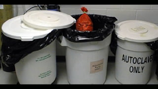 IMViC (Indole Methyl red Voges prascuer Citrate) Test | PDF