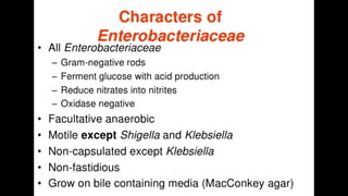 IMViC (Indole Methyl red Voges prascuer Citrate) Test | PDF