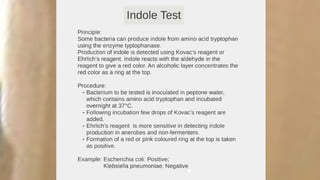 IMViC (Indole Methyl red Voges prascuer Citrate) Test | PDF