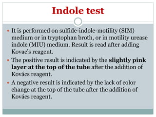 IMViC (Biochemical test) | PPTX
