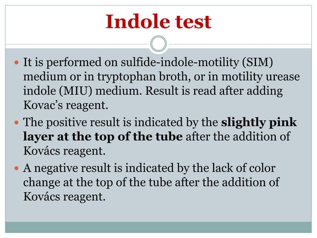 IMViC (Biochemical test) | PPTX | Chemistry | Science
